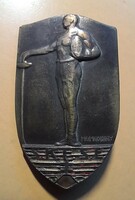 SKESE. Homonnay . vívó. sport kitűző, jelvény . POSTA VAN ...