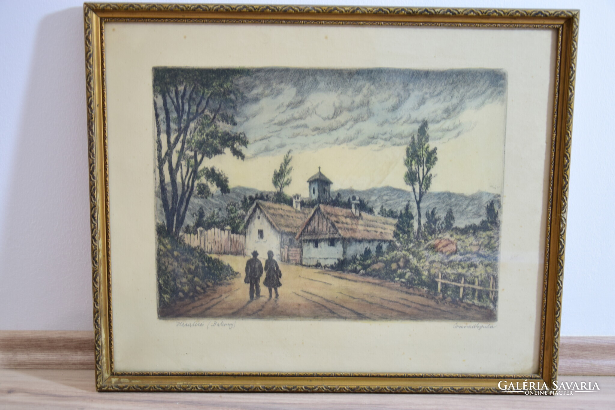 Gyula Konrád: homecoming Bakony street view village landscape ...