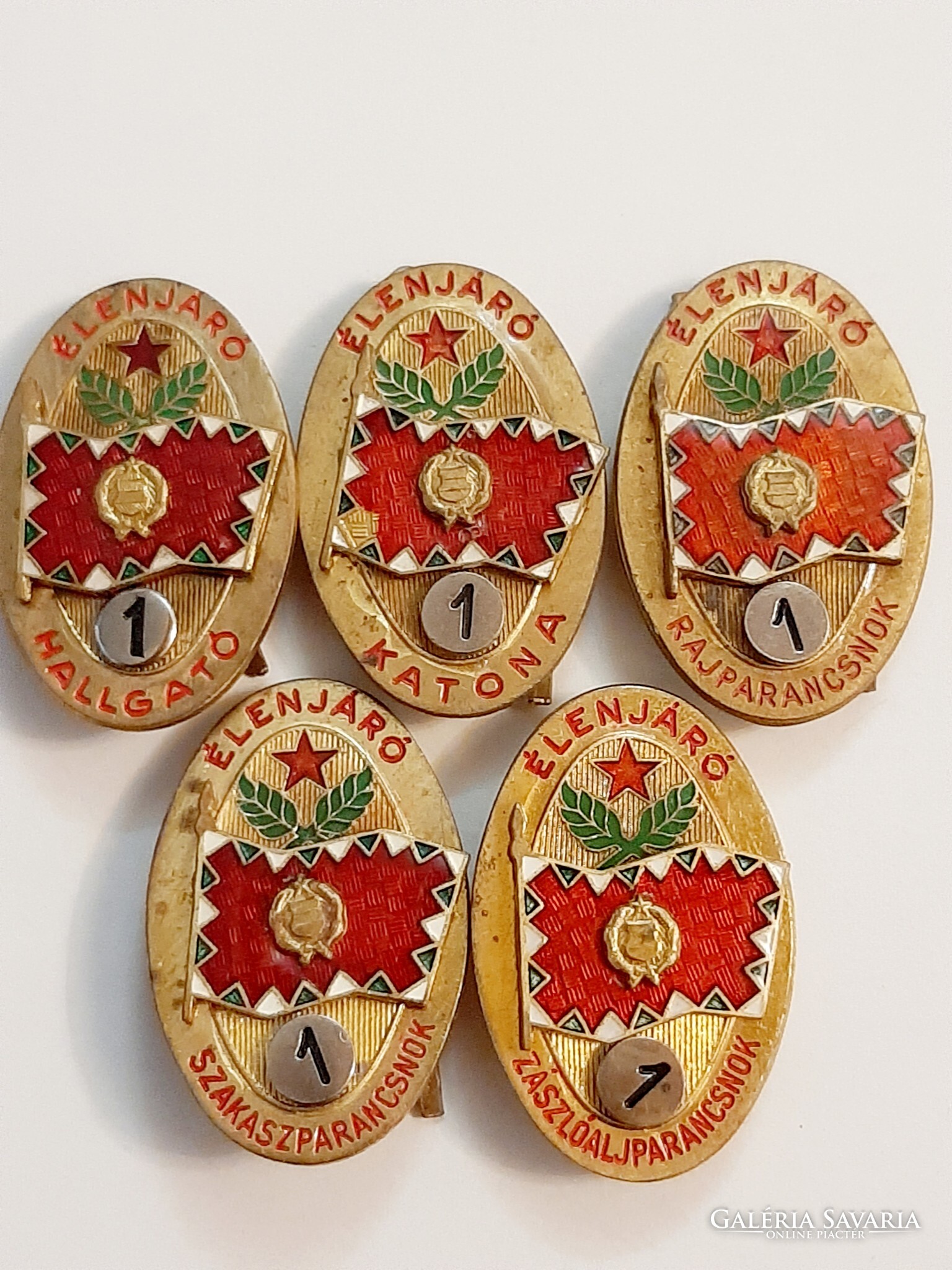 Leading student, soldier, platoon commander, platoon commander. , Flag ...