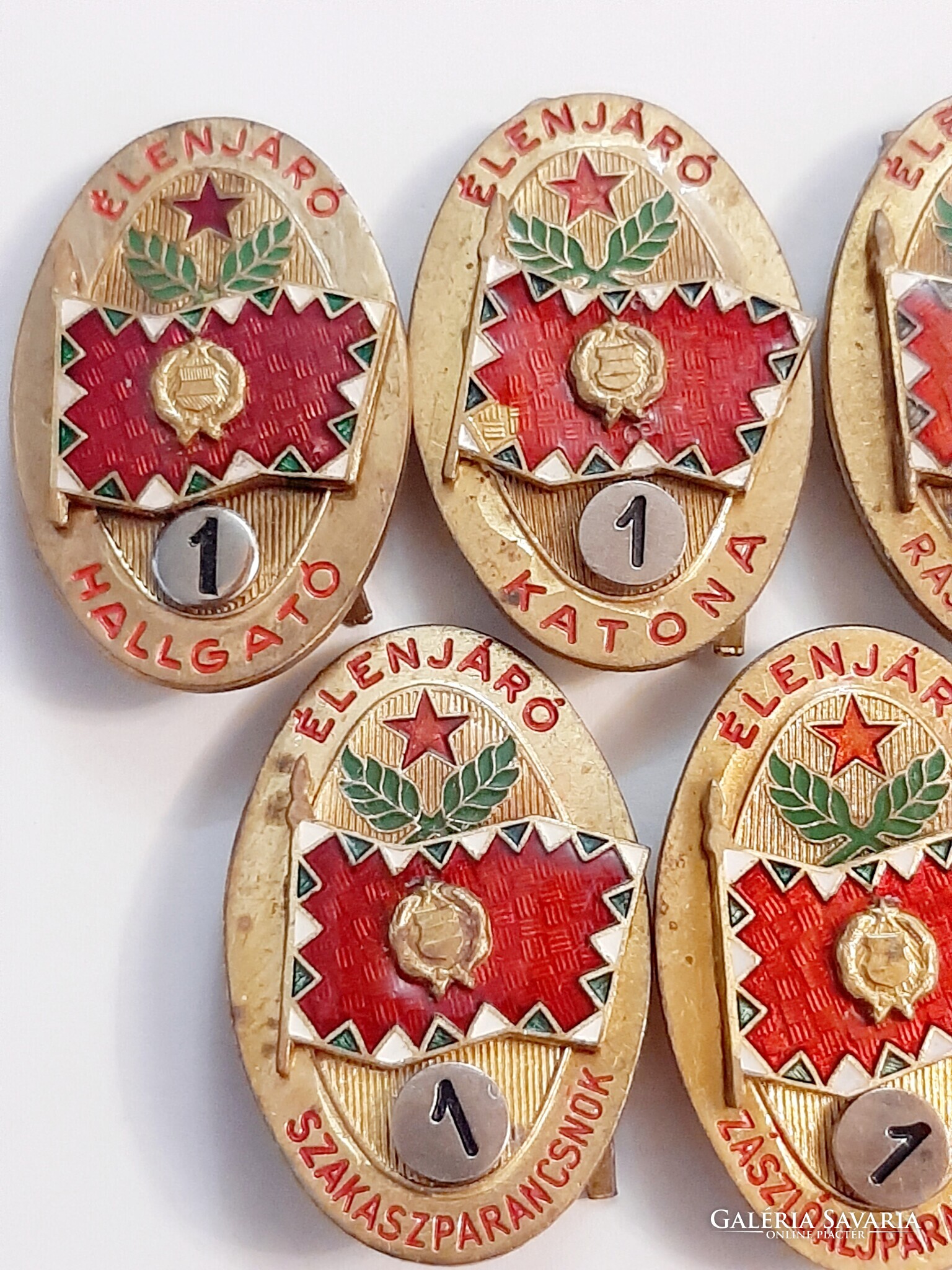 Leading student, soldier, platoon commander, platoon commander. , Flag ...