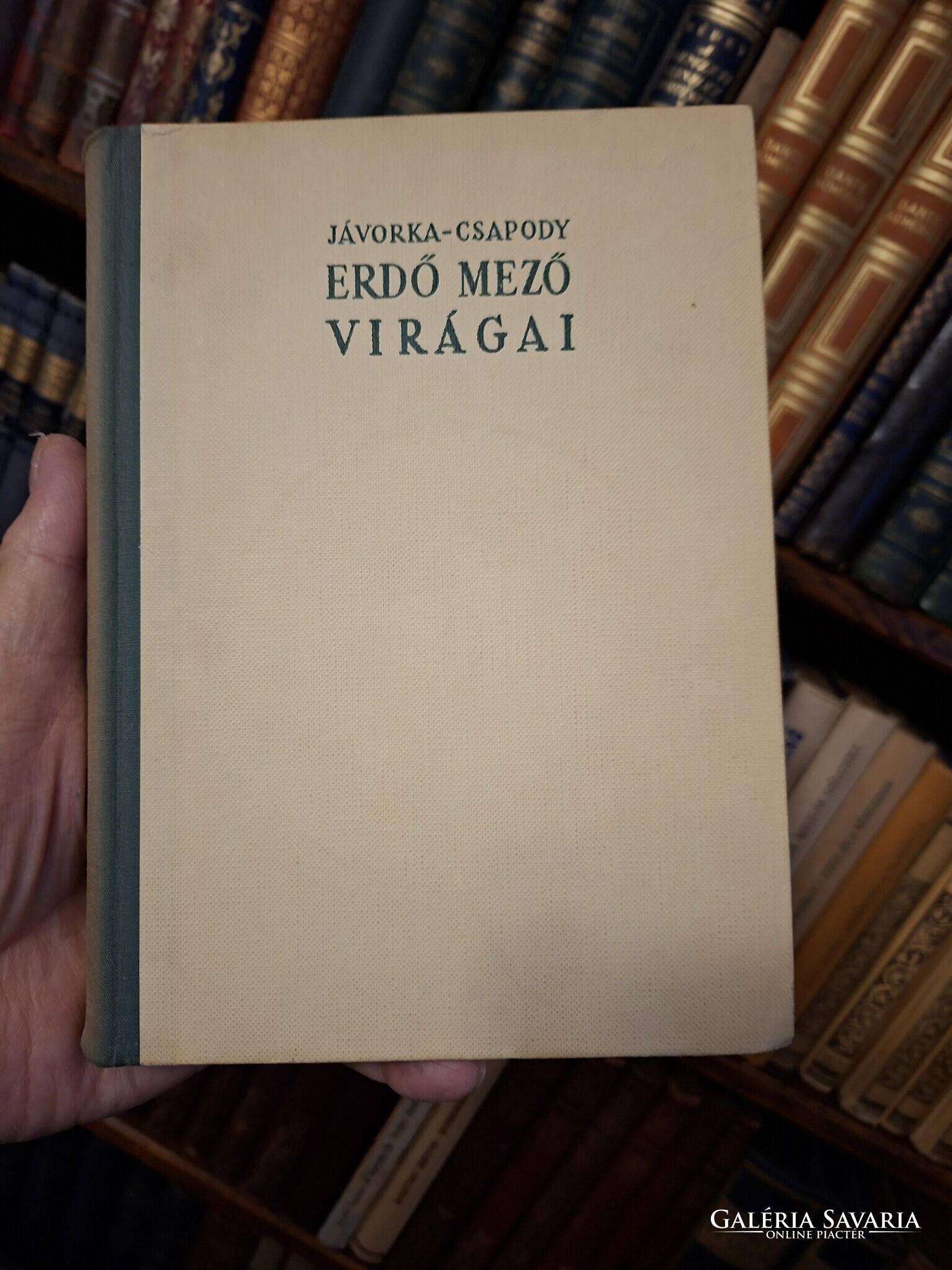 1965 korai kiadás JÁVORKA.CSAPODY.ERDŐ MEZŐ VIRÁGAI-A MAGYAR FLÓRA ...