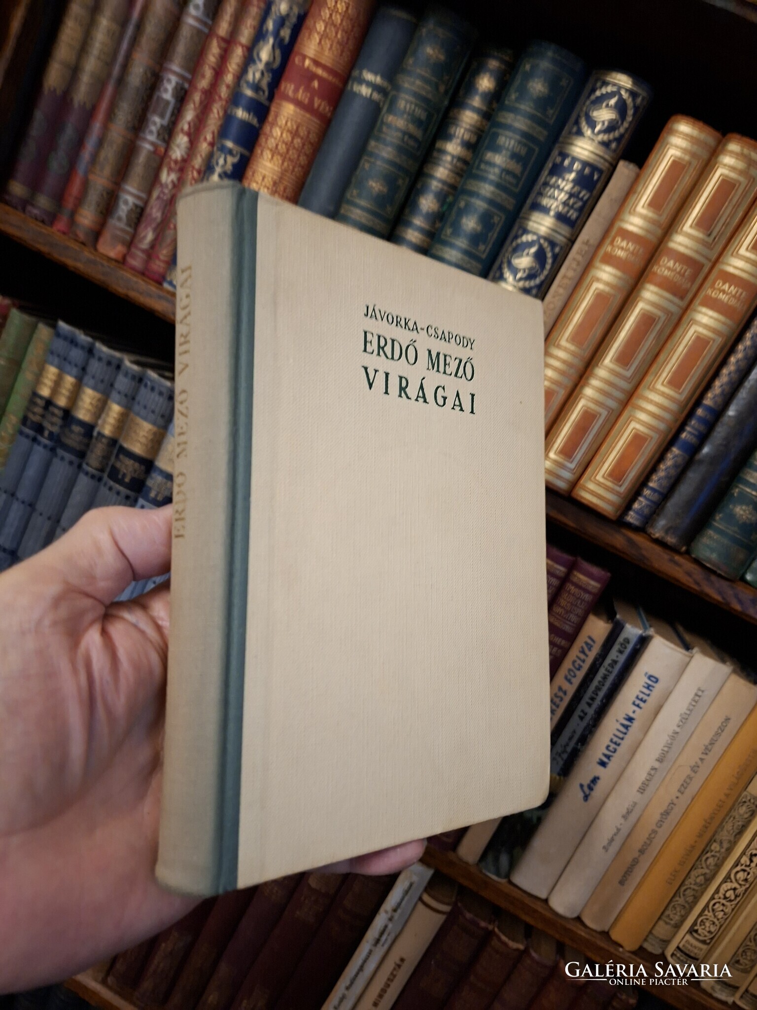 1965 korai kiadás JÁVORKA.CSAPODY.ERDŐ MEZŐ VIRÁGAI-A MAGYAR FLÓRA ...