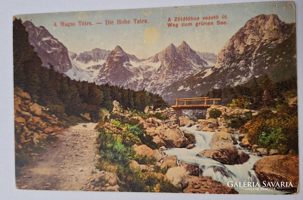 A Magas Tátra, A Zöld tóhoz vezető út képeslap, Divald és Monostory ...