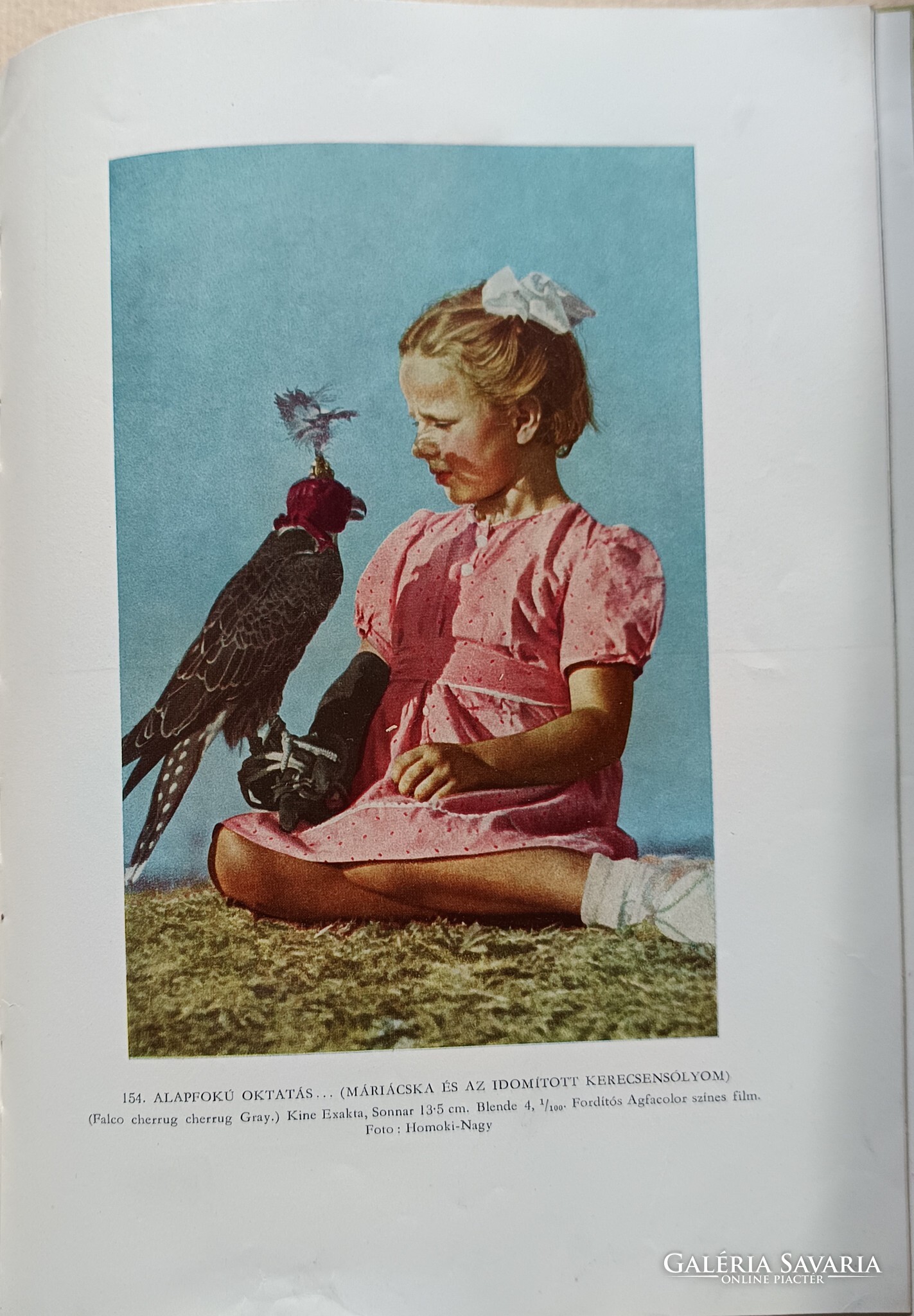 Homoki-Nagy István Gyöngyvirágtól lombhullásig 1957. - Könyv | Galéria ...