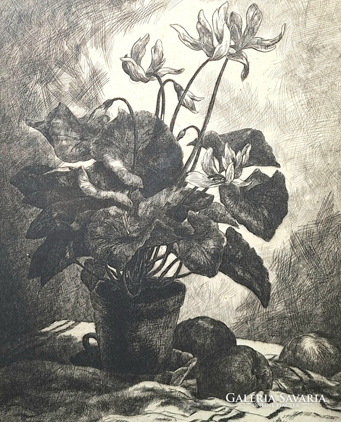 ÁR ALATT! 9 ezer Ft-ról: Görög Rezső és Hajdú Katalin: Csendélet ...