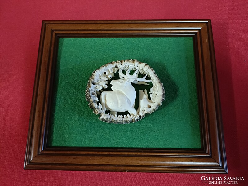 Eladó agancs | Galéria Savaria online piactér - Vásároljon vagy ...